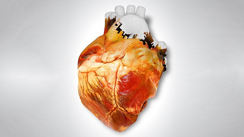 3D Printed Organs Might Just Change The Face Of Medicine