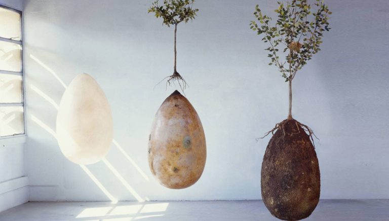 Coffins are Out, Eco-Friendly Burial Pods are In | Buzzworthy