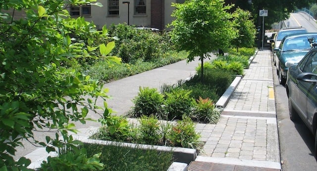 How Detroit is Becoming a Leader in Green Infrastructure | Buzzworthy