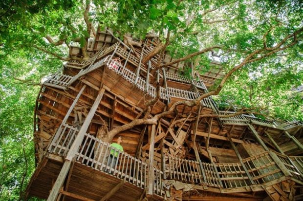 Take a Virtual Tour of the World’s Biggest Treehouse | Buzzworthy