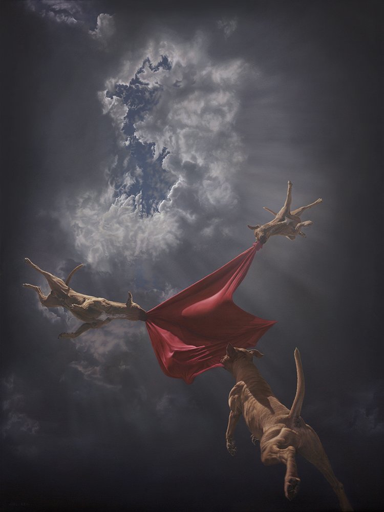 The Hyper Realistic Masterpieces of Joel Rea | Buzzworthy