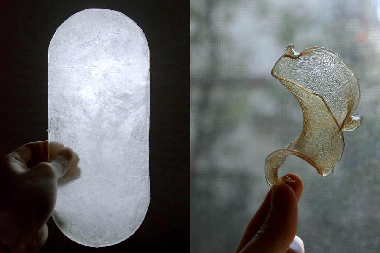 Seaweed-Based Material Could Replace Plastic in the Near Future ...