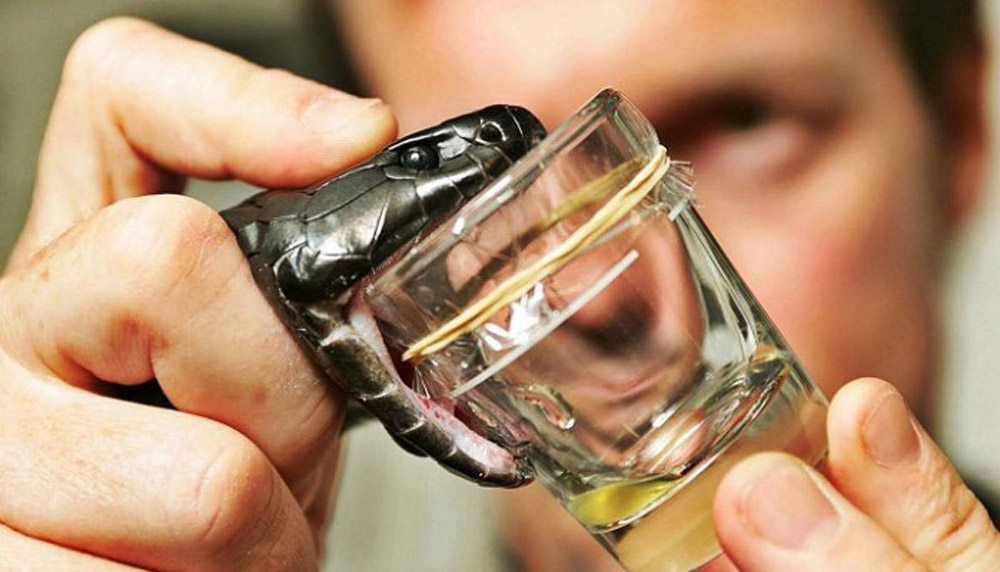 snake-venom-bleeding | Buzzworthy