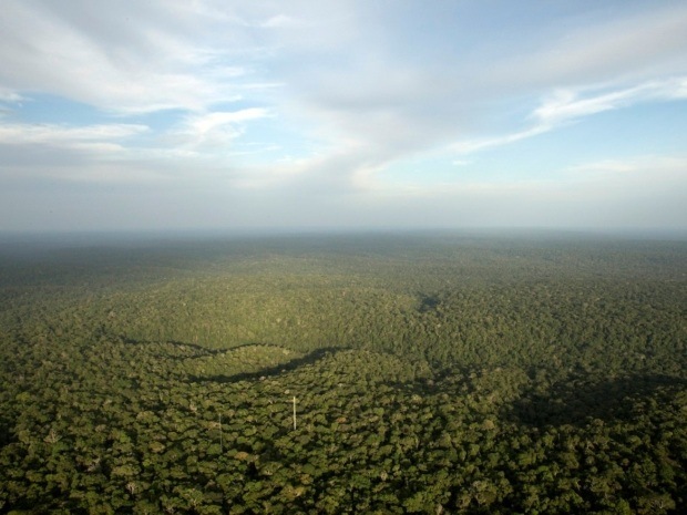 These Incredible Photos of the Amazon Show it’s the Most Precious Place ...
