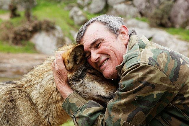 Raised by Wolves, This Man Explains Where Humans Have Failed | Buzzworthy